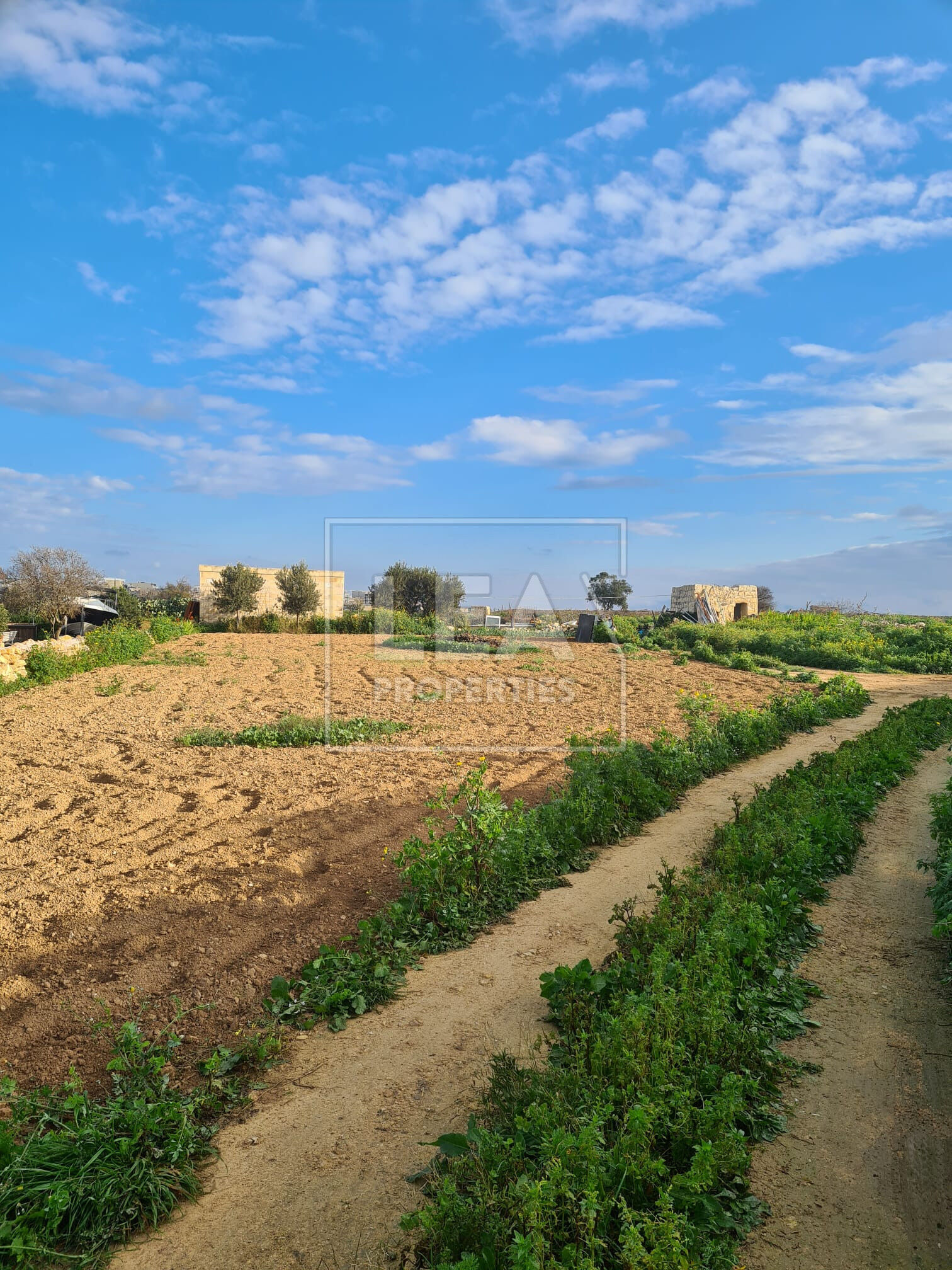 8628 - Lea Properties